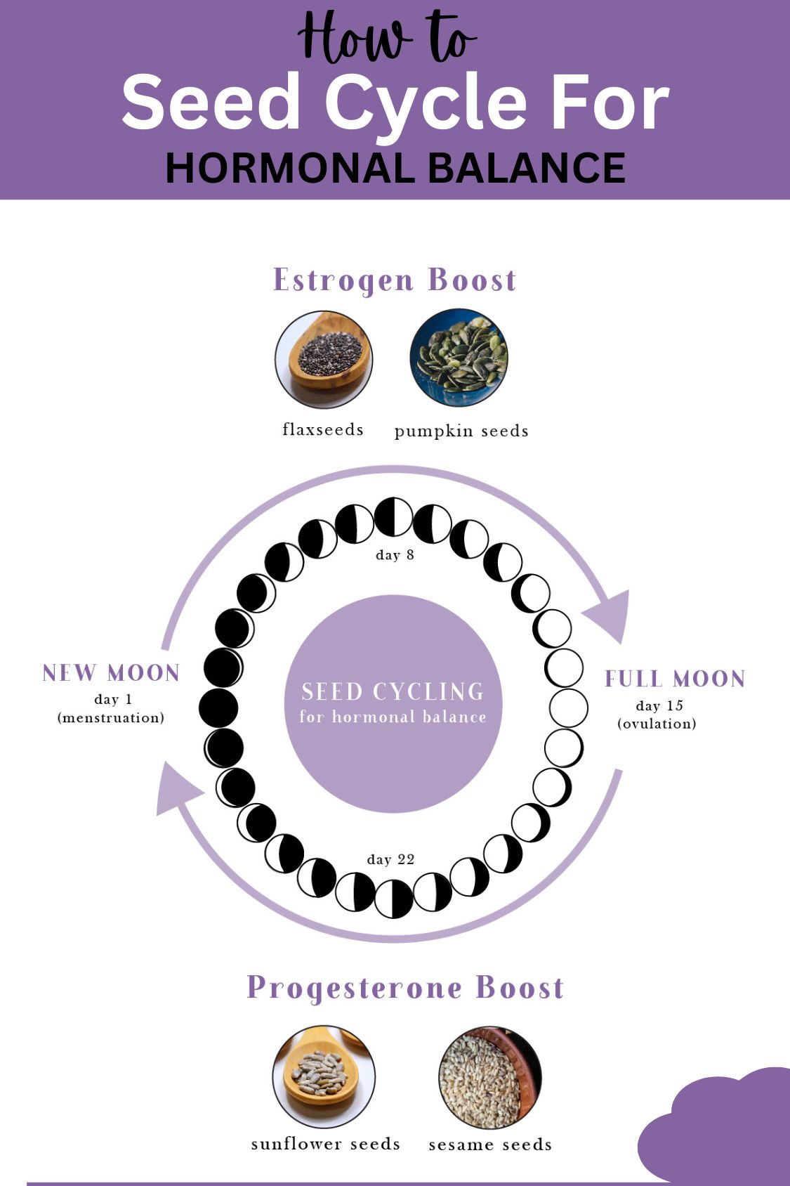 Cycle Syncing Diet For Every Phase Of Your Menstrual Cycle | The Tastes ...