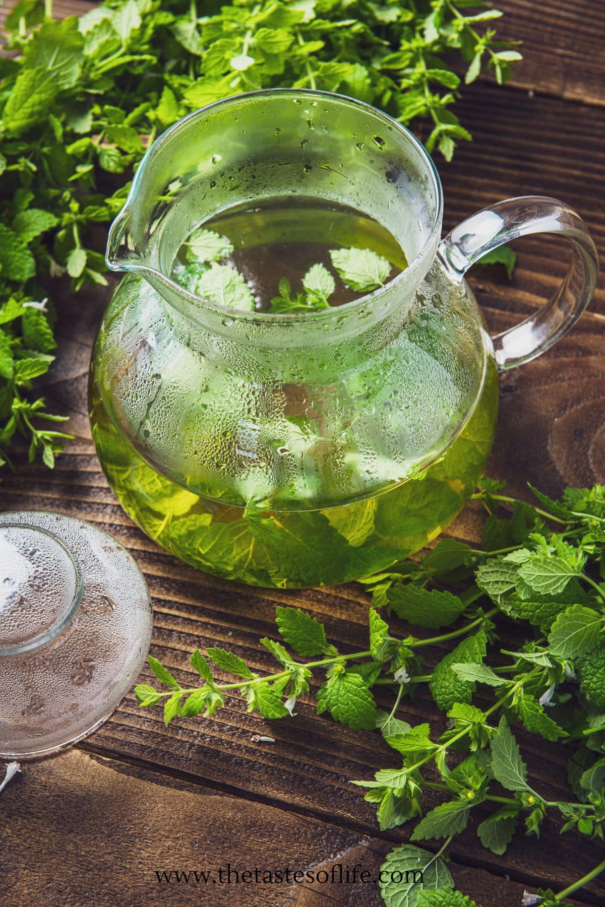 Lemon Balm Health Benefits And Culinary Uses | The Tastes of Life ...