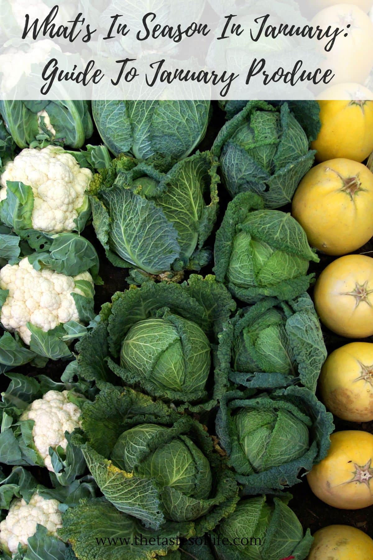 What's In Season In January: Guide To January Produce | The Tastes of ...