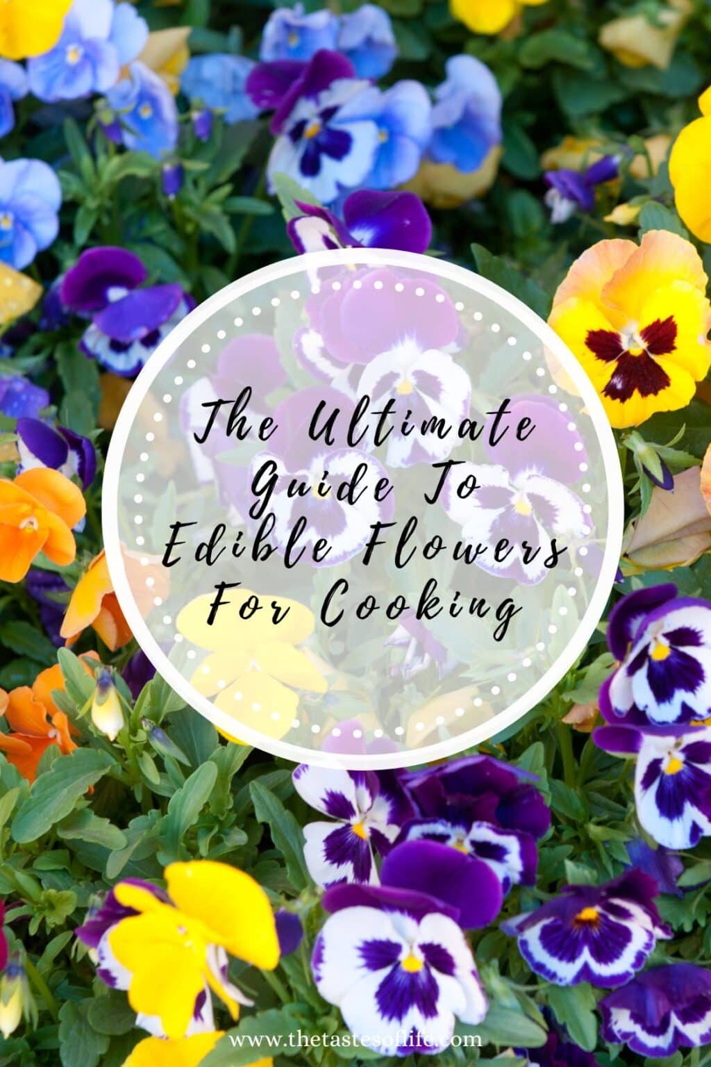 The Ultimate Guide To Edible Flowers For Cooking | The Tastes of Life ...
