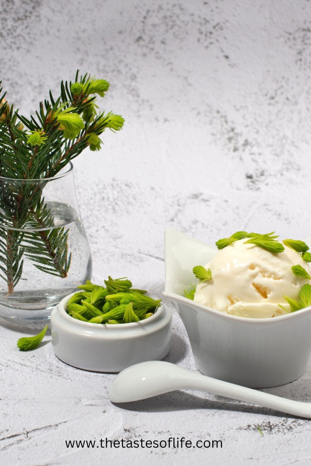Spruce Tips Culinary Uses And Harvest | The Tastes of Life Holistic ...