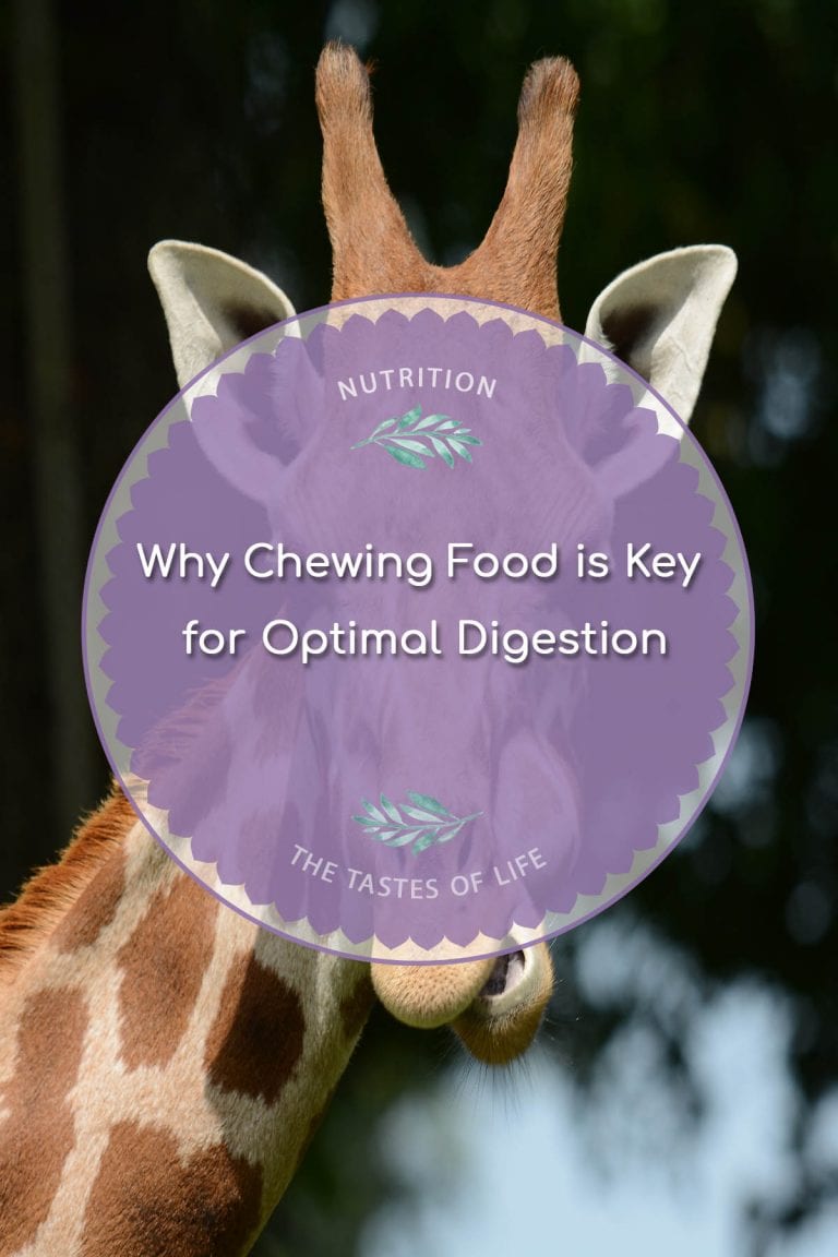 Optimal Digestion - Why Chewing Helps | The Tastes of Life Holistic ...