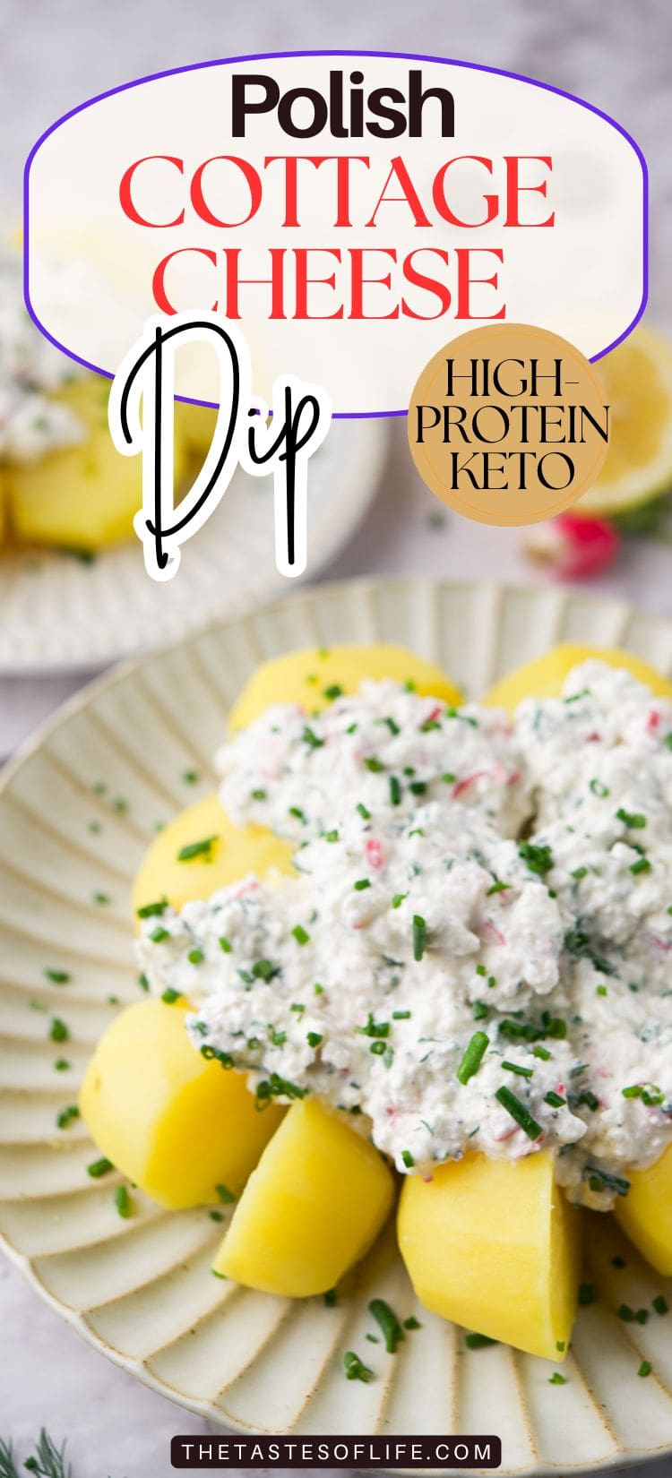 Creamy Gzik (Polish Cottage Cheese Dip) | The Tastes of Life Holistic ...