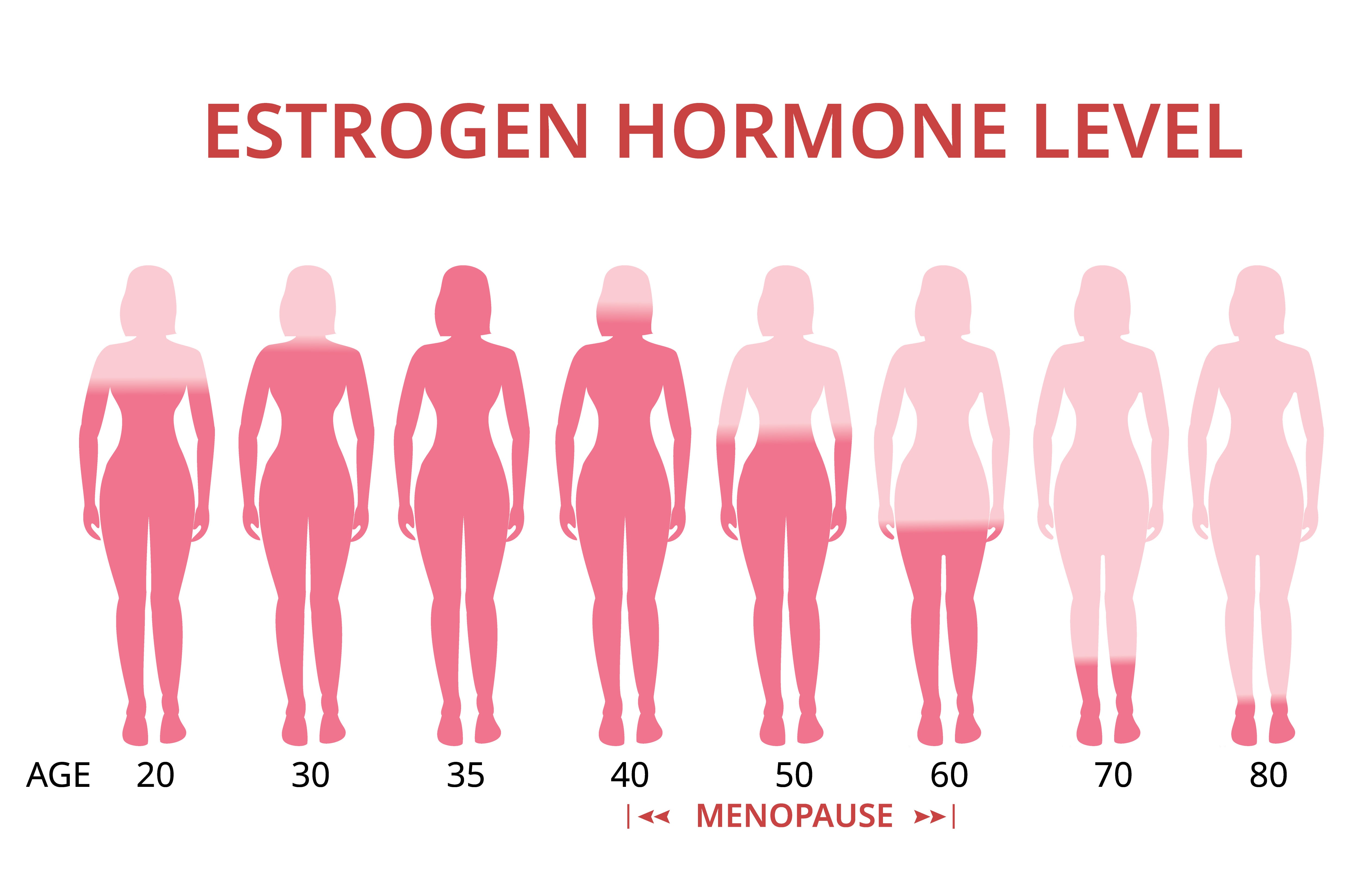 Estrogen Dominance In Perimenopause | The Tastes of Life Holistic ...
